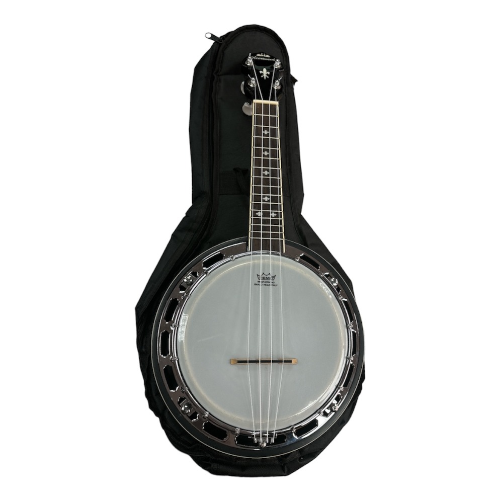 Affordable & Used Musical Instruments - Own4Less